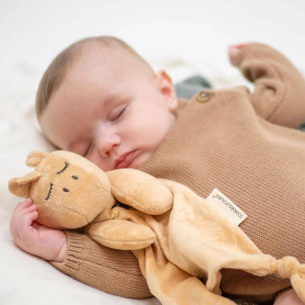 Schnorg Baby Mini Schnorglesaurus Sensory Comforter - Ezra – babyshop